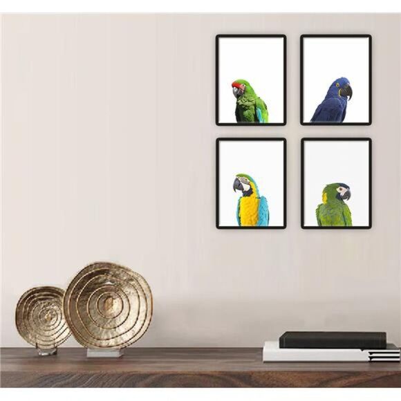 Art | Macaws Parrots Birds Military Blue Yellow Audubon Wall Art Photo ...